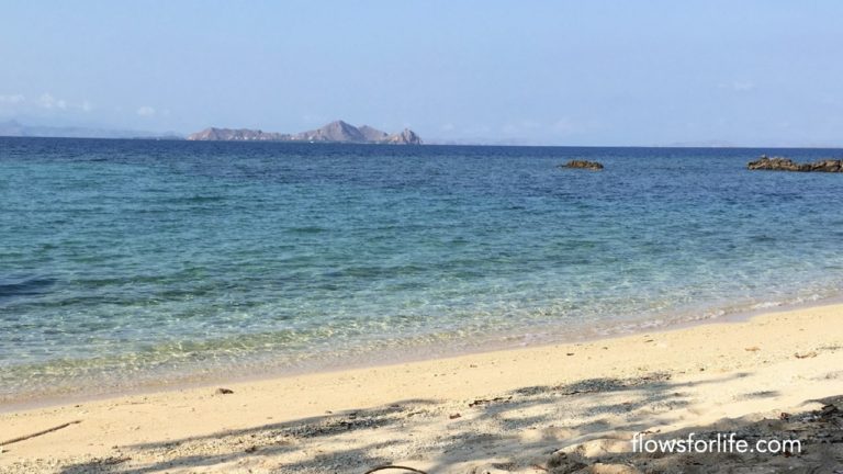 Exercise: The Main Central - Source of Life - Flows for Life | Jin Shin ...