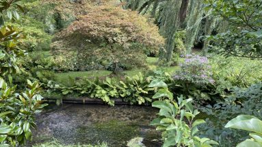 How to Have Happy Ears with Jin Shin Jyutsu - Flows for Life | Jin Shin ...